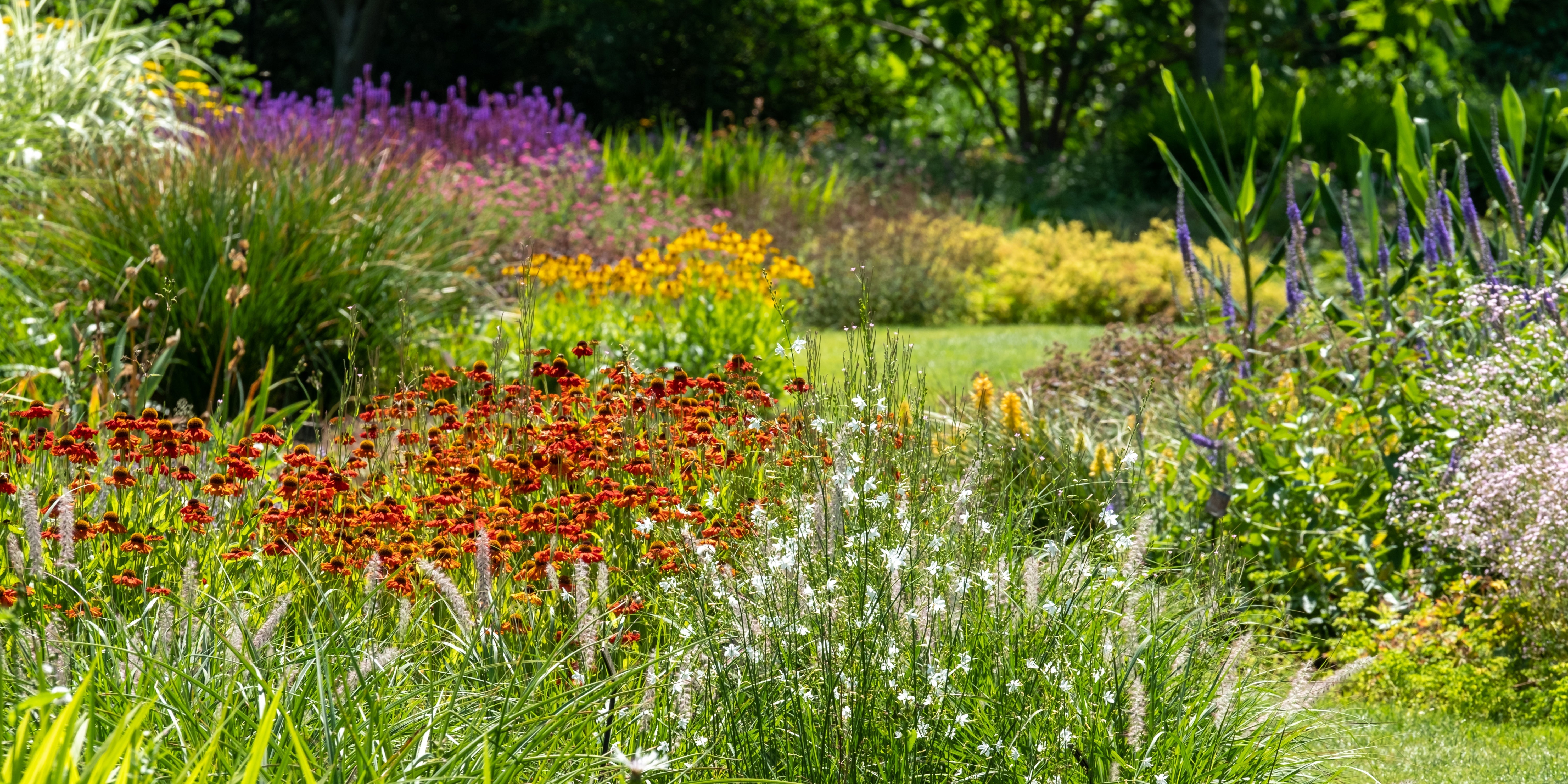 UK garden trends for 2026 — Farmer Gracy