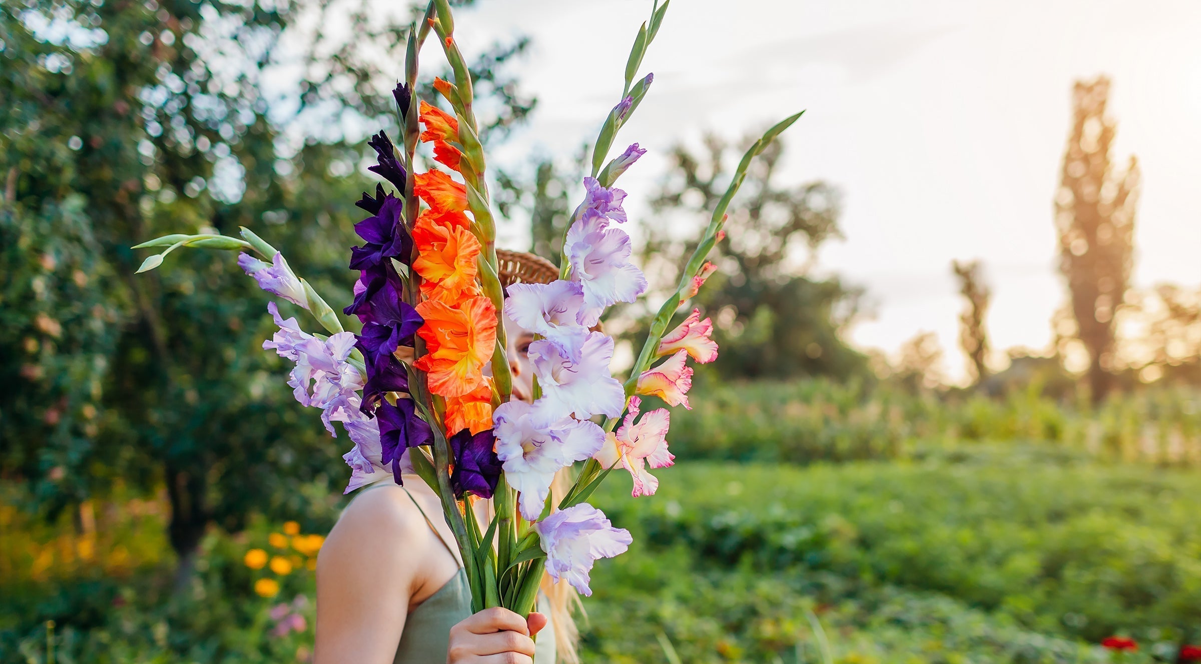Gladiolus FAQs: the top questions, answered — Farmer Gracy