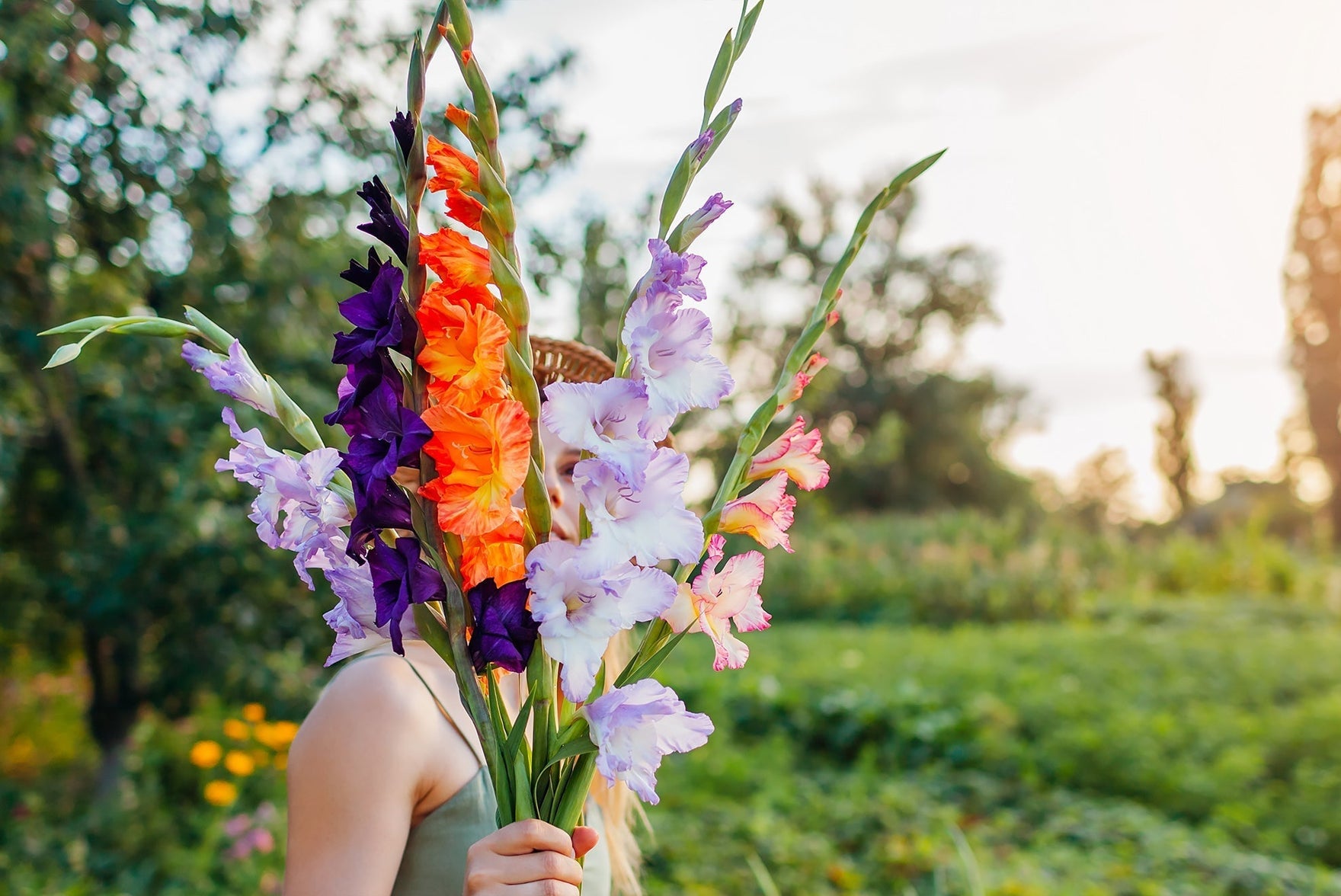 Gladiolus FAQs: the top questions, answered — Farmer Gracy