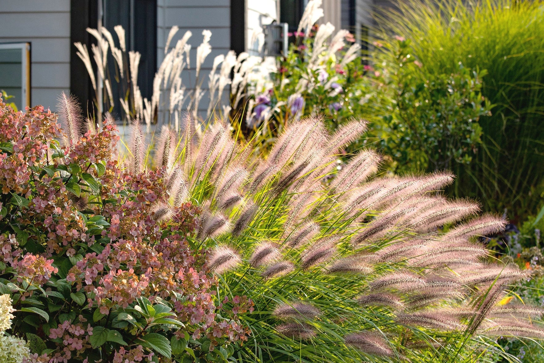 Why your UK garden needs Ornamental Grasses — Farmer Gracy