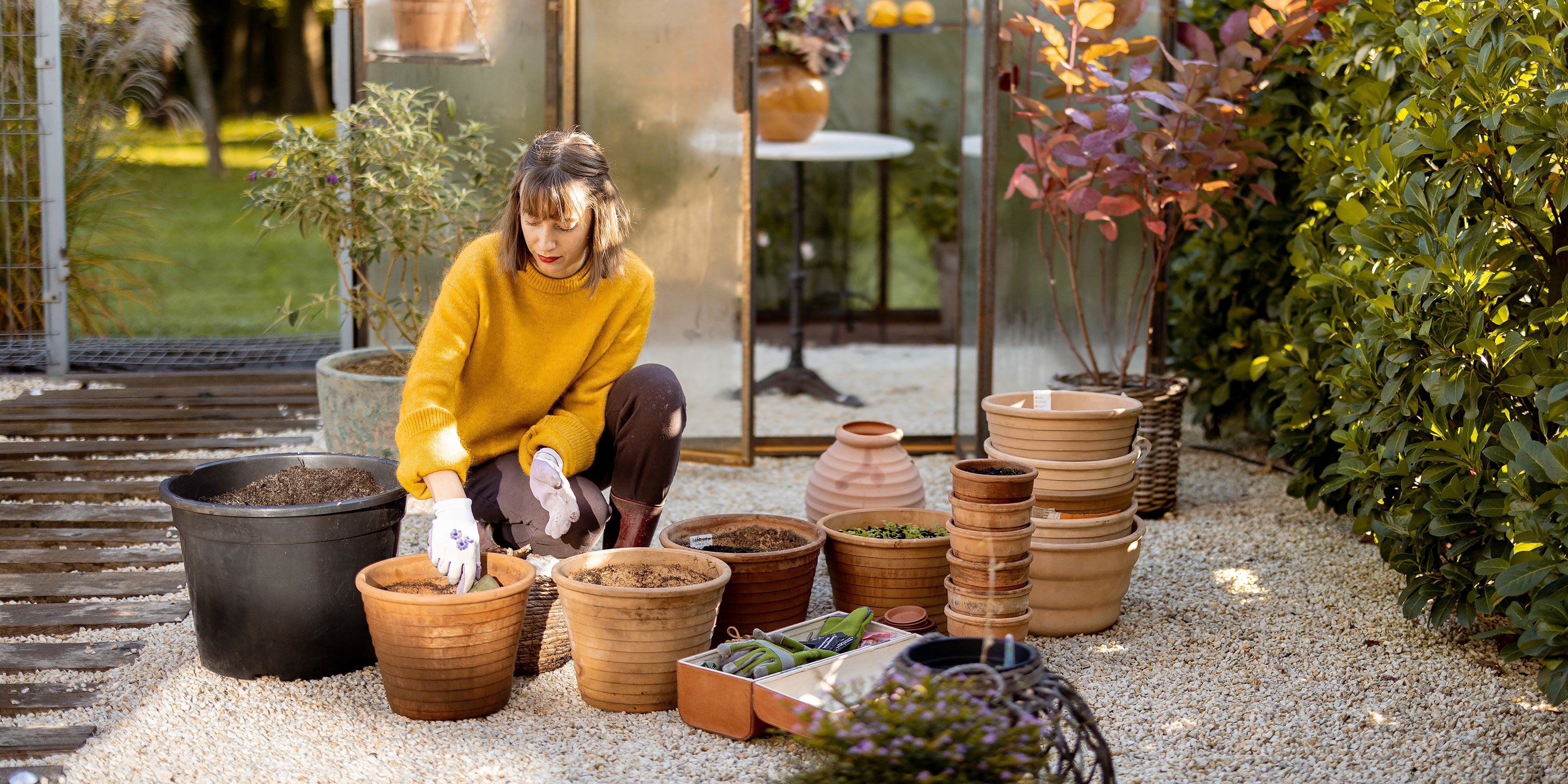 The undeniable benefits of flower bulbs for UK gardens | Farmer Gracy