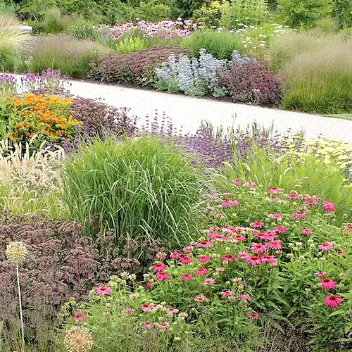Piet Oudolf plants | Create your own Piet Oudolf garden | Farmer Gracy UK