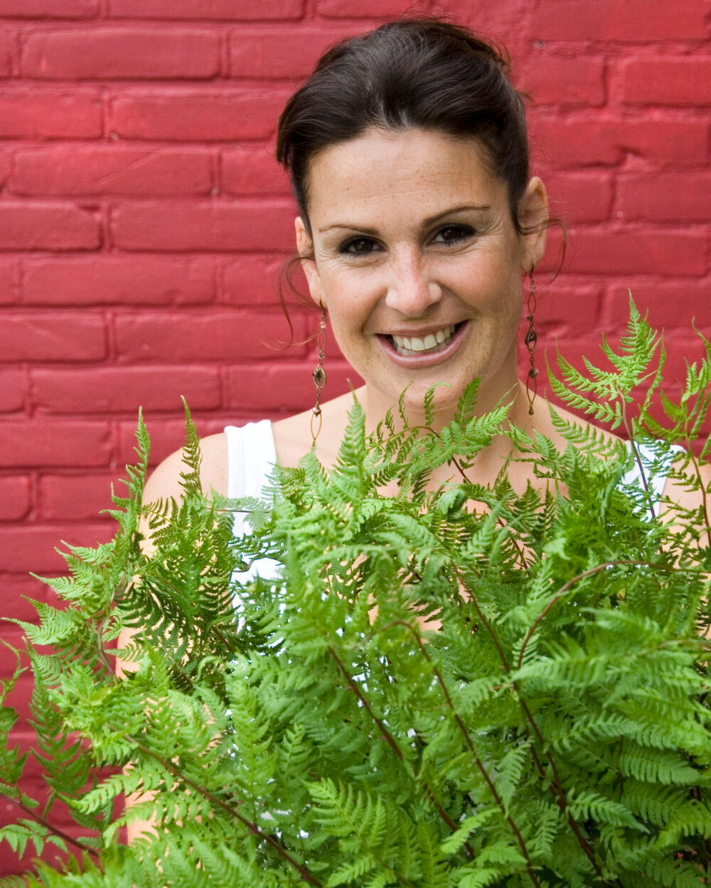 Athyrium filix-femina 'Lady in Red' bare roots — Buy lady ferns online ...