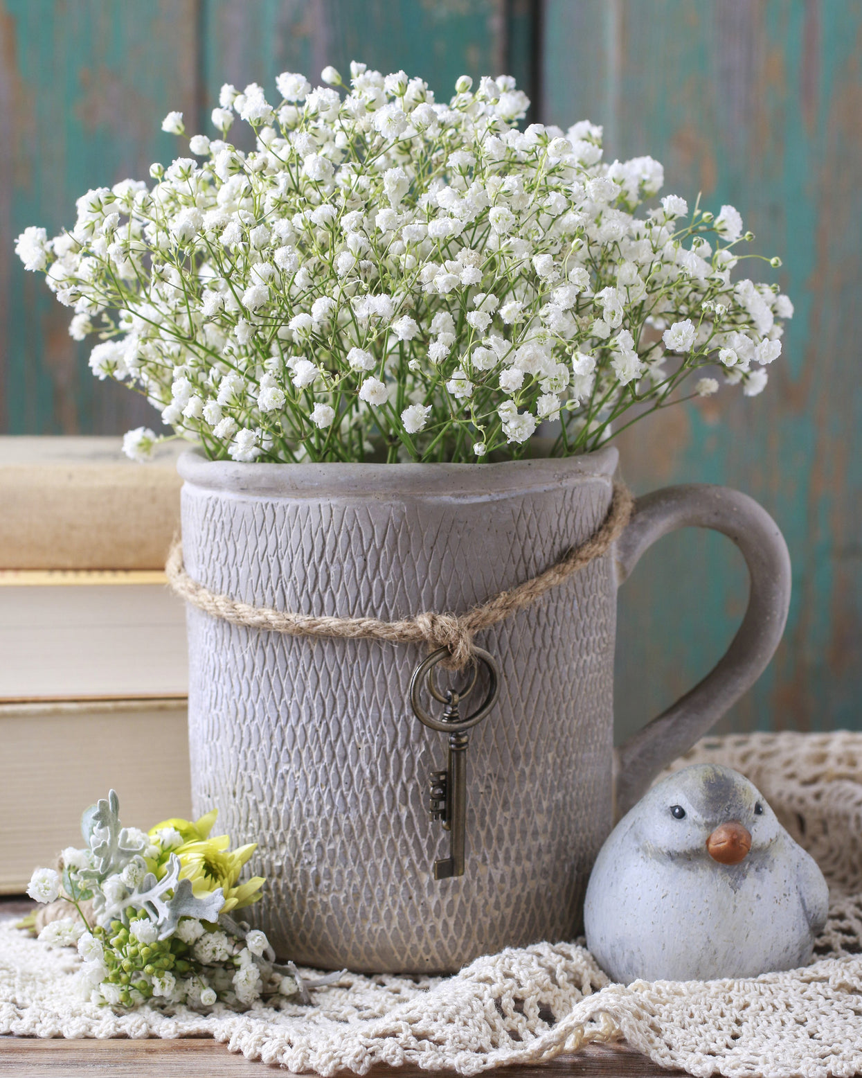 Gypsophila paniculata (baby’s breath) bare roots | Buy online at Farmer ...