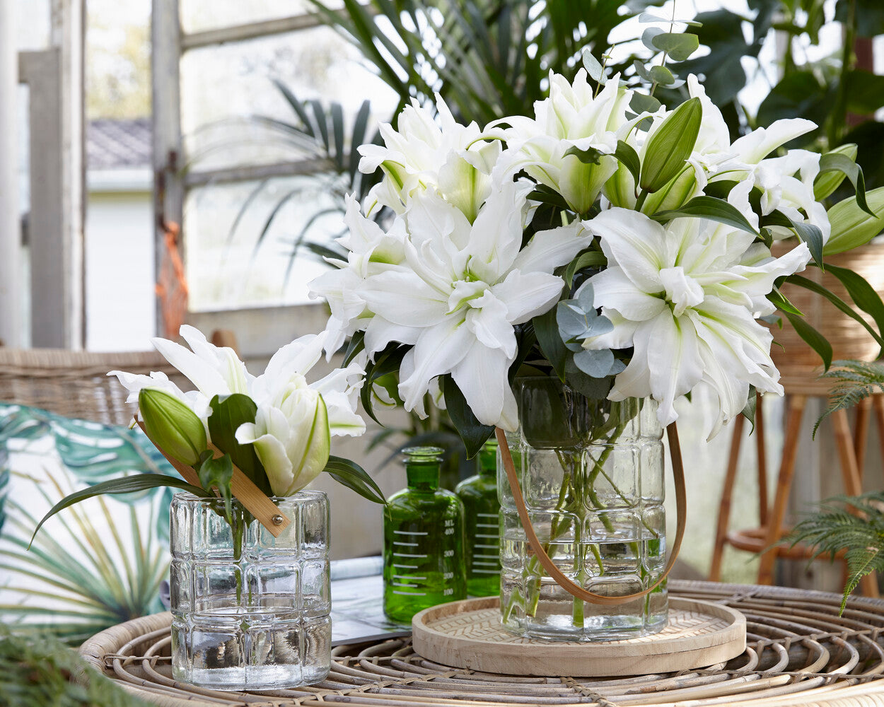 Lily 'Roselily Aisha' bulbs | Buy white double lilies online at Farmer ...