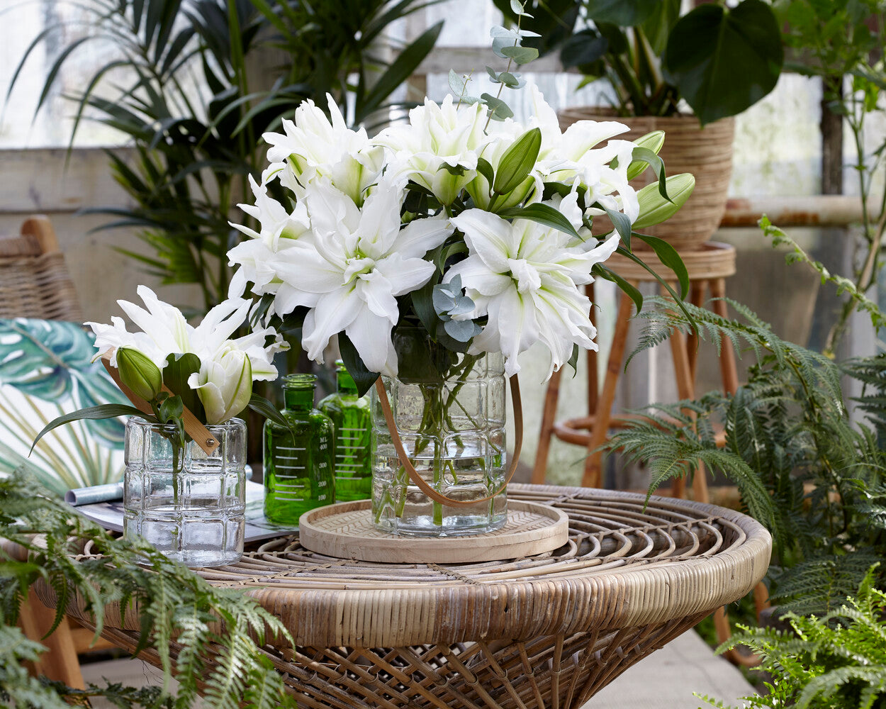 Lily 'Roselily Aisha' bulbs | Buy white double lilies online at Farmer ...