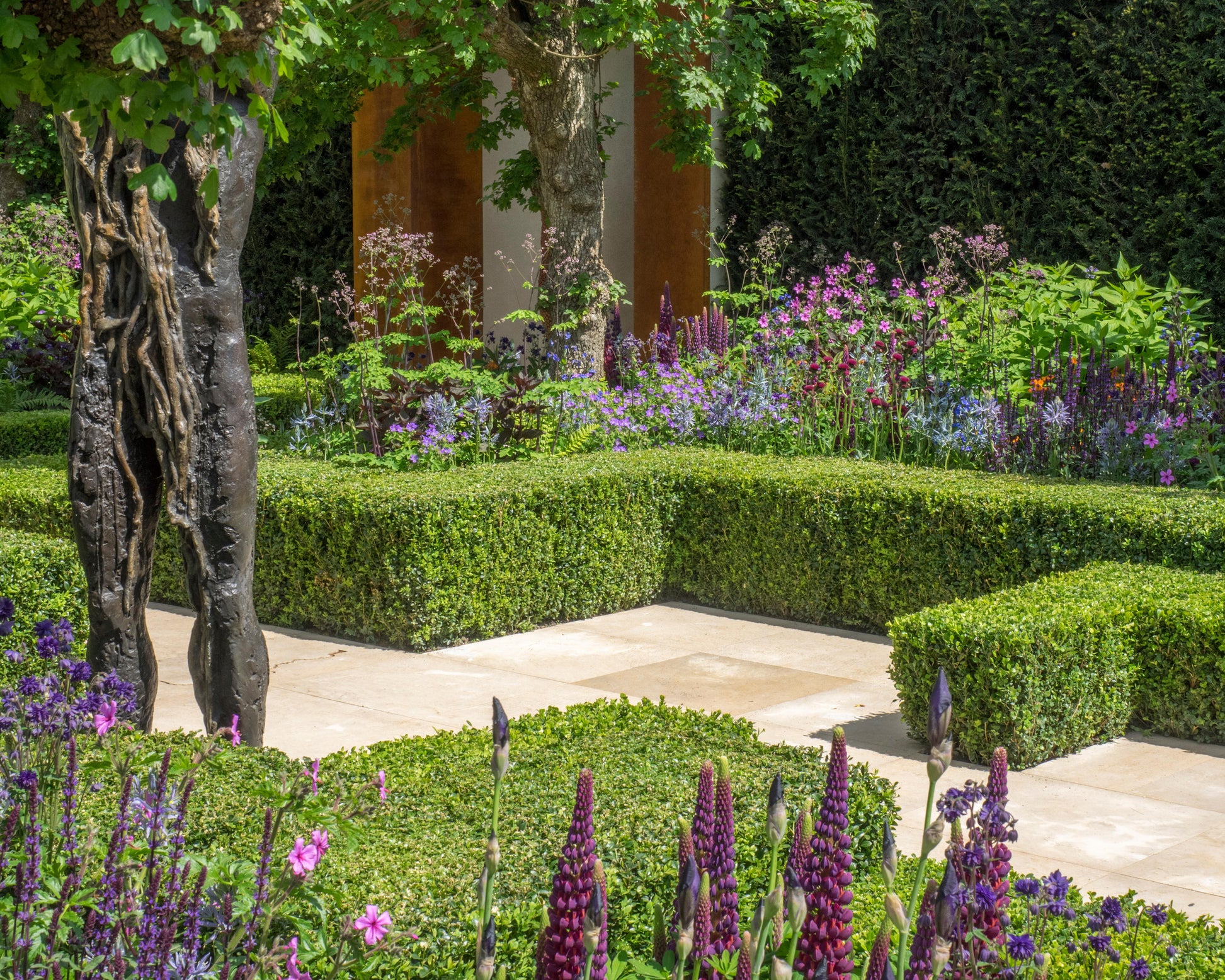 Lupinus 'Masterpiece' bare roots | Buy purple lupins (lupines) online ...