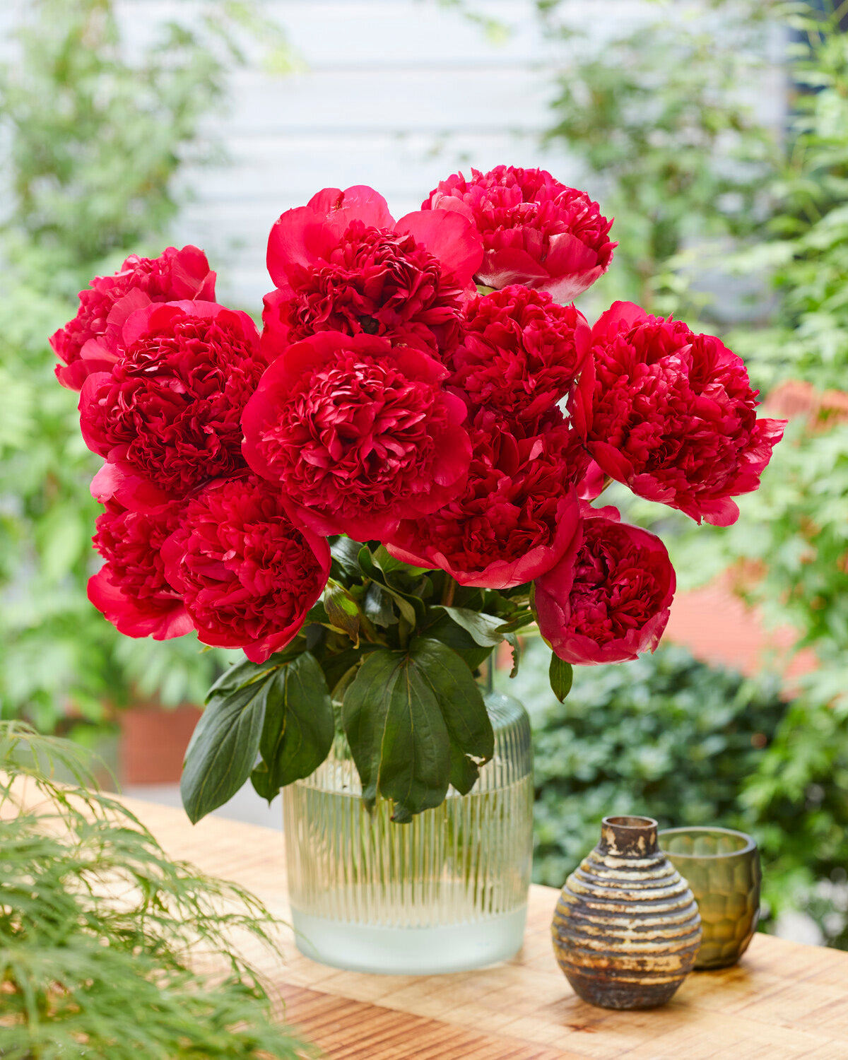 Paeonia 'Command Performance' bare roots — Buy red peonies online at ...